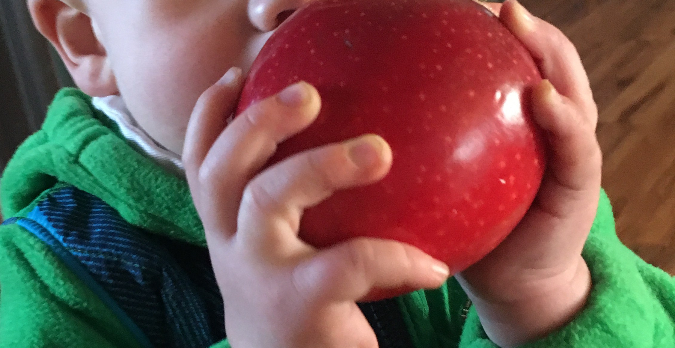 The Allegory of the Cookie Snatcher – BossDad Adventure Guide